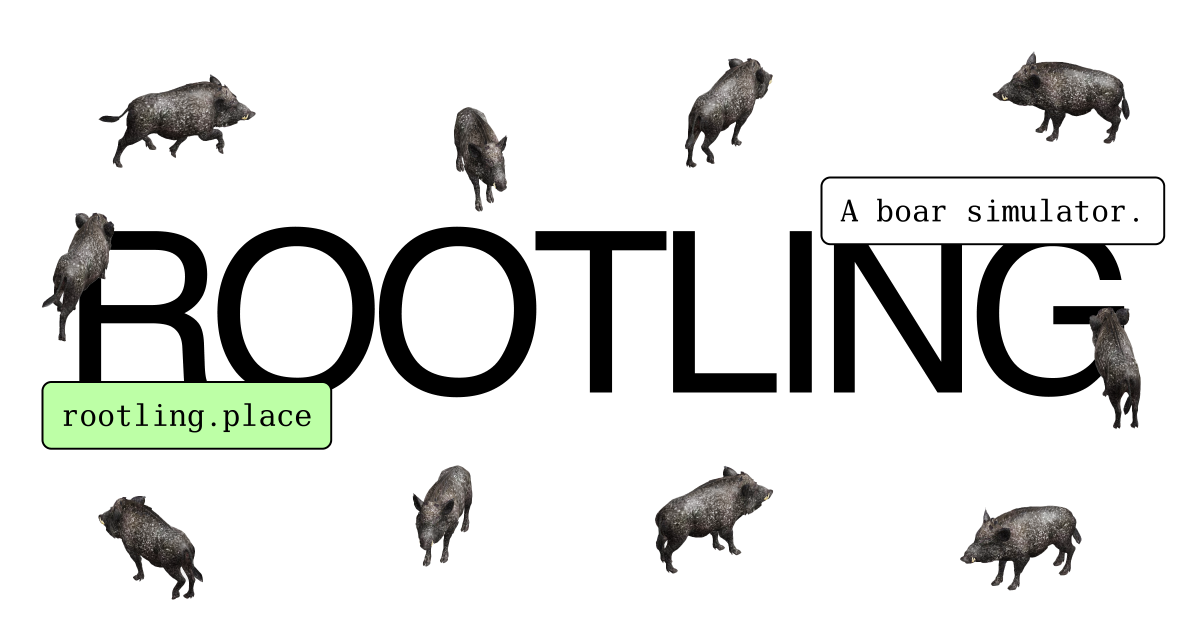 About | ROOTLING
